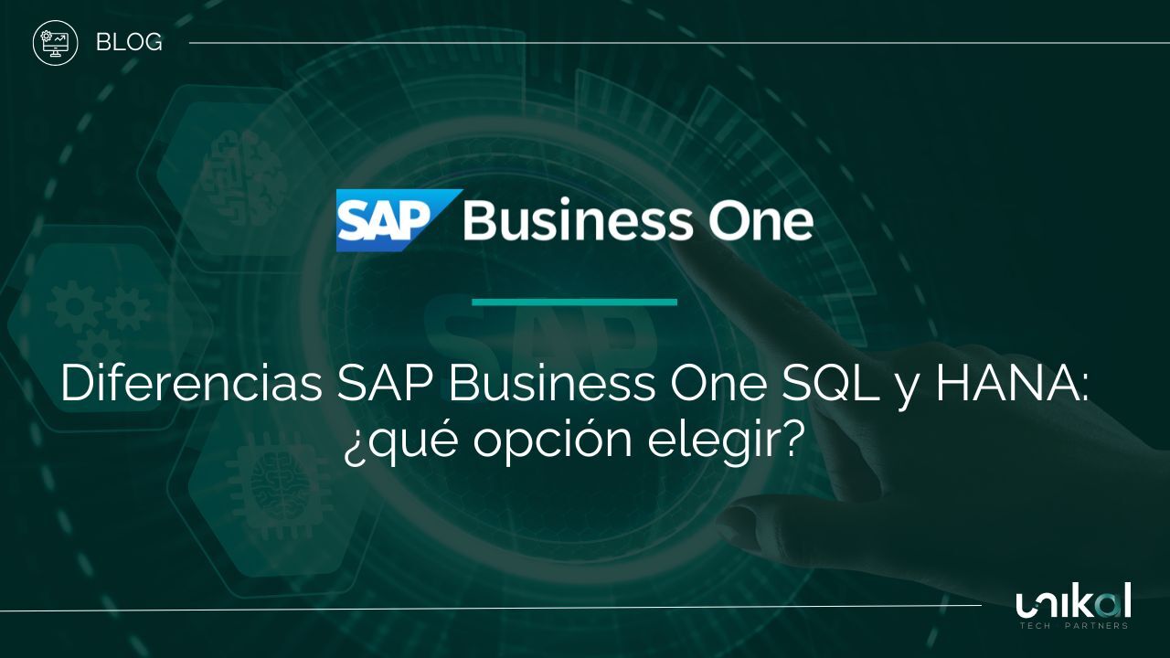 Diferencias SAP Business One SQL y HANA